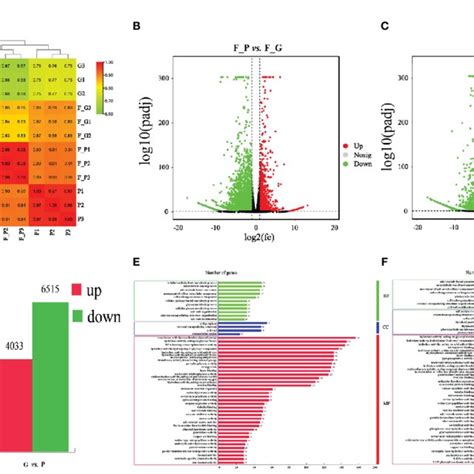 Identification And Gene Ontology Enrichment Of Differentially Expressed Download Scientific