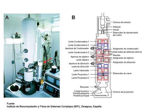 Microscopio De Transmisión Por Electrones
