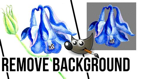 How To Remove Background In GIMP 2 YouTube