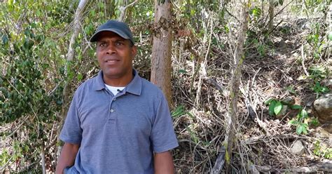 Vi Supreme Court Upholds Bernard Cuffys Right To Clear Access Road To His Estate Clairmont Property