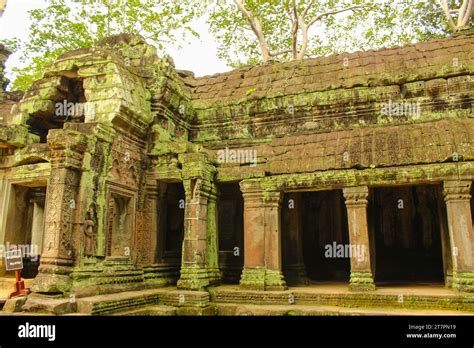 Ancient Gallery Of Amazing Ta Prohm Temple Overgrown With Trees