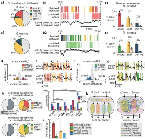 Social Behaviour Shapes Hypothalamic Neural Ensemble Representations Of