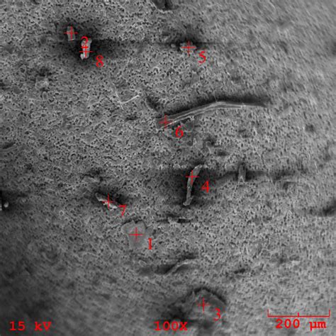Particle Size Analysis Rti Laboratories