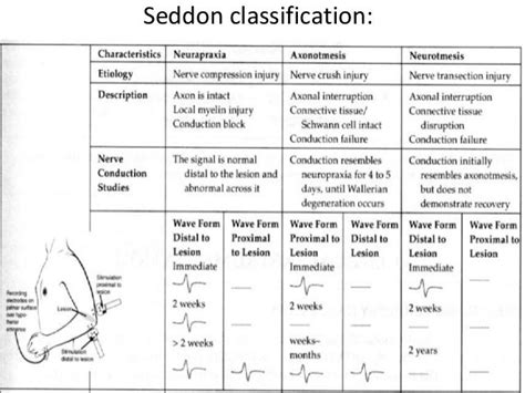 Neuropathy And Its Classification