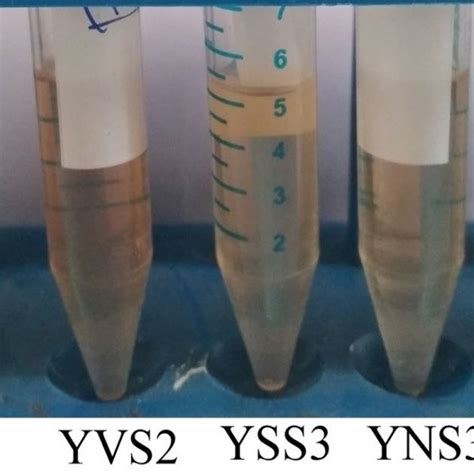 Bacterial Strains Of Bacillus Sp Isolated From Rhizosphere Soil
