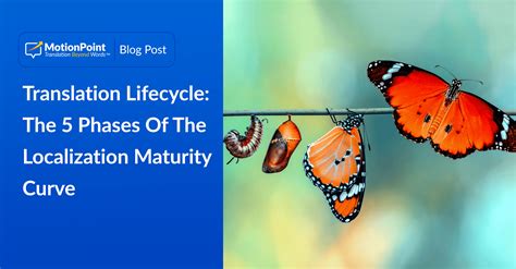 Translation Lifecycle What Phase Is Your Company In