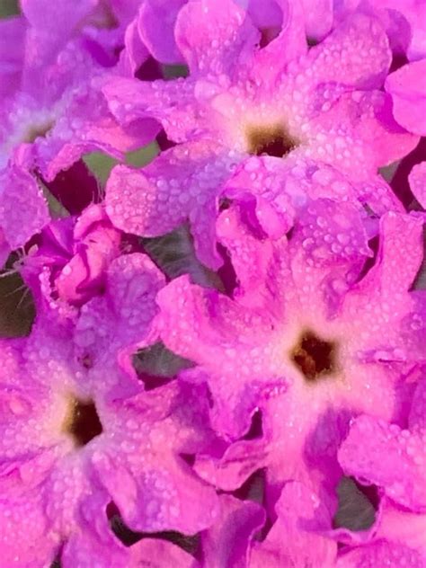 Water Drops Album On Imgur