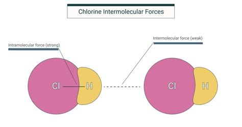 Qué Son Las Fuerzas De Van Der Waals Y Cómo Funcionan Escuela Experta