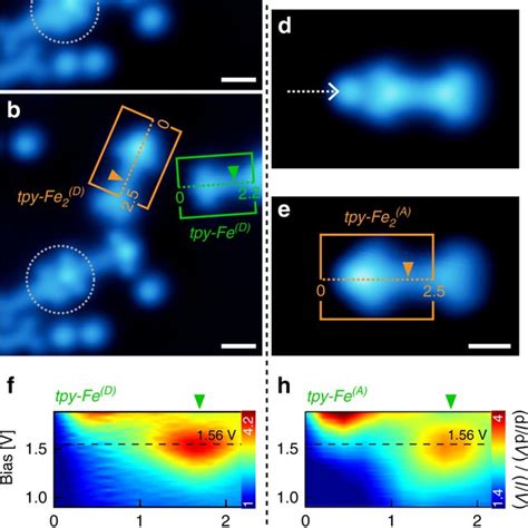 Multi Method Uhv Lab As Part Of The Desy Nanolab Download Scientific