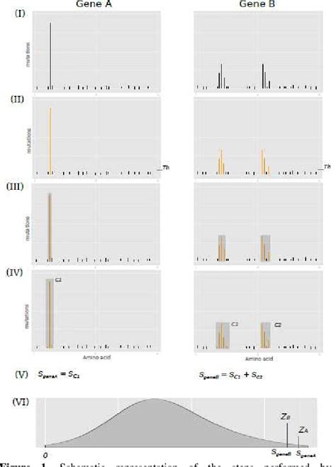 Figure 1 From Oncodriveclust Exploiting The Positional Clustering Of Somatic Mutations To