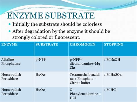 Enzyme Assay Write My Paper For Cheap In High Quality Mlaguidelines