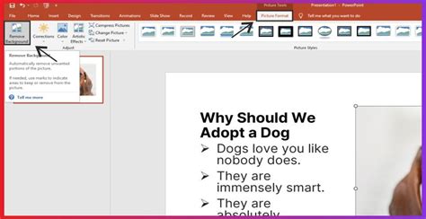How To Remove Background In Powerpoint