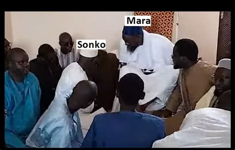 Sonko chez son maraboutil lui ravit la vedette vidéo