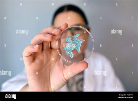 Portrait Of Female Scientist Looking Blue Glitter Sample Over Petri