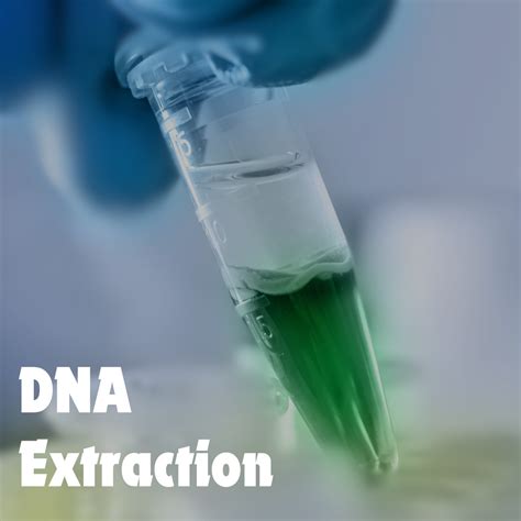 Silica Column Vs Magnetic Bead Based Dna Extraction