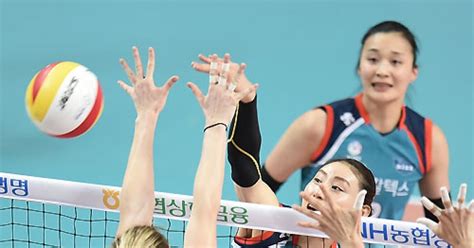Md포토 배유나 올스타전 Mvp의 맹활약