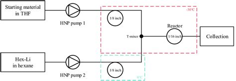 Flow Scheme And Set Up Used In Process Development Download