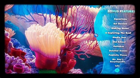 Finding Nemo Exploring The Reef