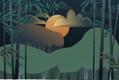 어두운 하늘에 달 대나무 밤 풍경 배경입니다 열대 갈대 침대 남부 위도의 정글과 열대 우림 만화 재미있는 스타일 플랫 디자인