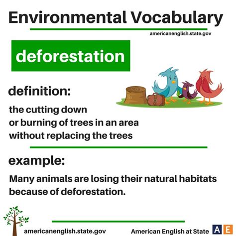 Environmental Vocabulary Deforestation Enseignement Vocabulaire