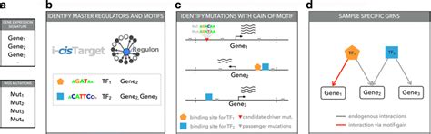 Overview Of The μ Cistarget Pipeline To Predict Cis Regulatory
