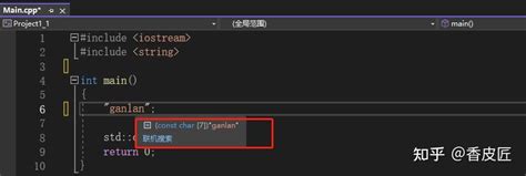 29 C 字符串字面量 知乎