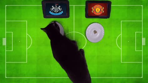 Tiên Tri Mèo Cass Dự đoán Newcastle Vs Mu 22h30 Ngày 24