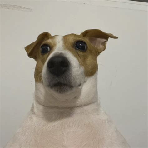 Roober Png Album On Imgur