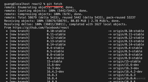 加速几十倍 git clone 速度的 depth 1它的后遗症怎么解决 知乎