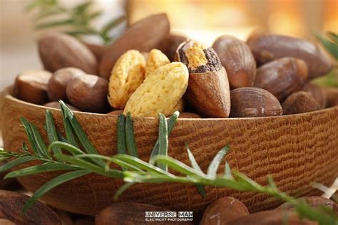 山核桃｜hickory Nut Daintynuts Officical Site