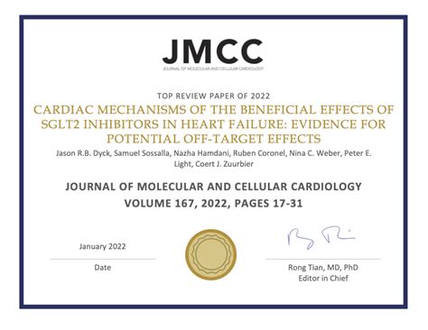 Original Papers Ruben Coronel Md Phd