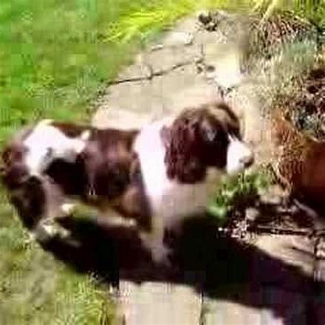 Chris Keating Youtube