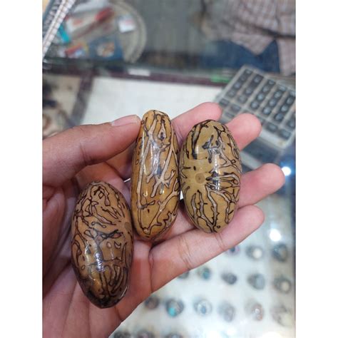 Jual Biji Tasbih Oud Solib Biji Tasbih Kayu Oud Sholib Biji Tasbih Oud