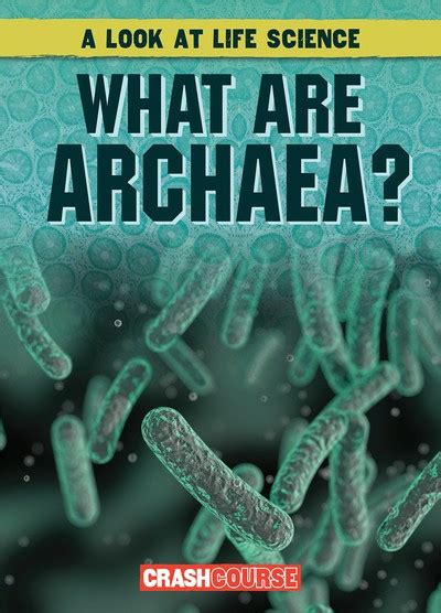 What Are Archaea Gareth Stevens