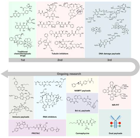 The Latest Developments In Adc Payloads