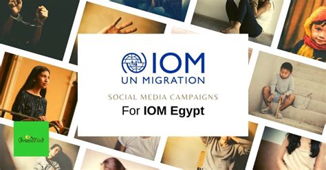 Iom Egypt Case Study Green Mind
