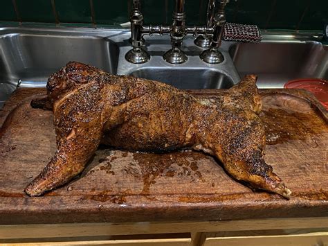 Wild Hog Recipes Texas Wild Hog Control