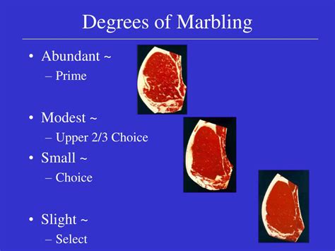 Ppt Beef Carcass Evaluation As101 Powerpoint Presentation Free Download Id1779786