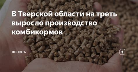 В Тверской области на треть выросло производство комбикормов Вся
