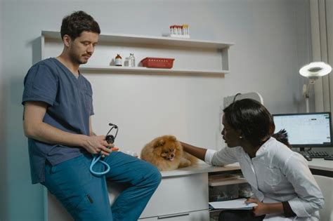 How A Vet Discovered His Purpose As A Vet Read The Full Article Here