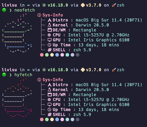 Color Blocks Don T Get Printed On MacOS Zsh 5 9 Bash 5 2 9 Issue 50