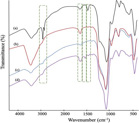 Ft Ir Spectra Of Msnps Before And After Functionalization A Msnps With