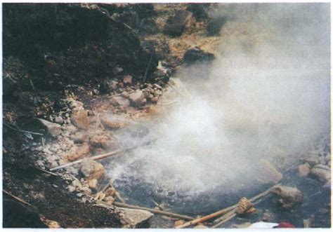 Figure 1 From Genetic Diversity Analysis Of Thermophilic Bacteria From