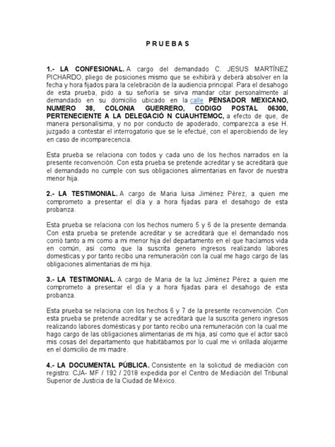 Pruebas Demanda De Alimentos Pdf Pensión Alimenticia Justicia