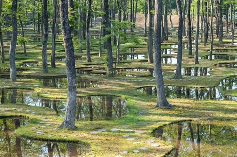 Art Biotop Water Garden By Junya Ishigami