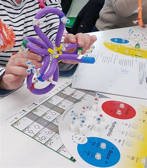 Bringing The Beauty Of Proteins To The Classroom The PDB Art Project