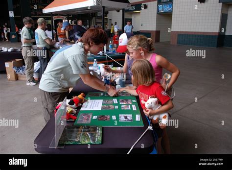 Complete Assignment Is Listed As Stock Photo Alamy