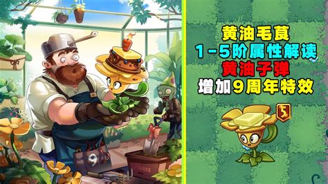 Pvz Youtube