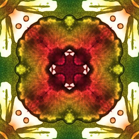 68000 Disastrous Rangoli Creation Pictures