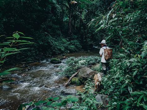 Readme Me อยู่เถื่อน ณ สวนเกาะ ชีวิตง่าย ๆ ที่ลงตัว